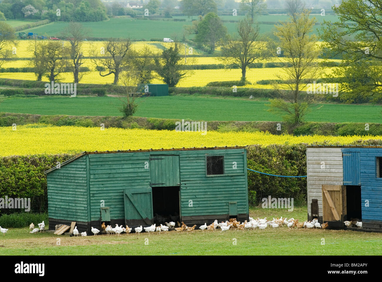 Poultry sheds england hi-res stock photography and images - Alamy
