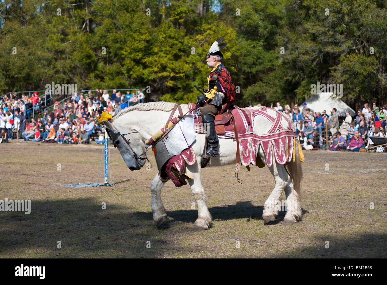 Gainesville FL - January 2009 - Man on draft horse acting a judge on ...
