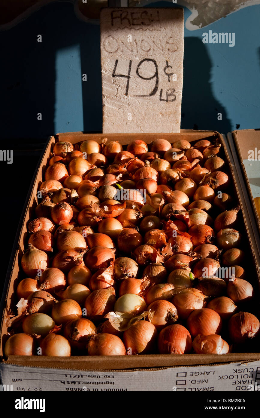 Onions are on display in a stall in Toronto Kensington Market Stock ...