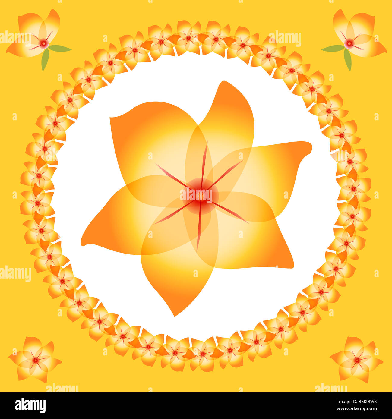 Pretty orange and yellow flowers in a circular shape with a large ...