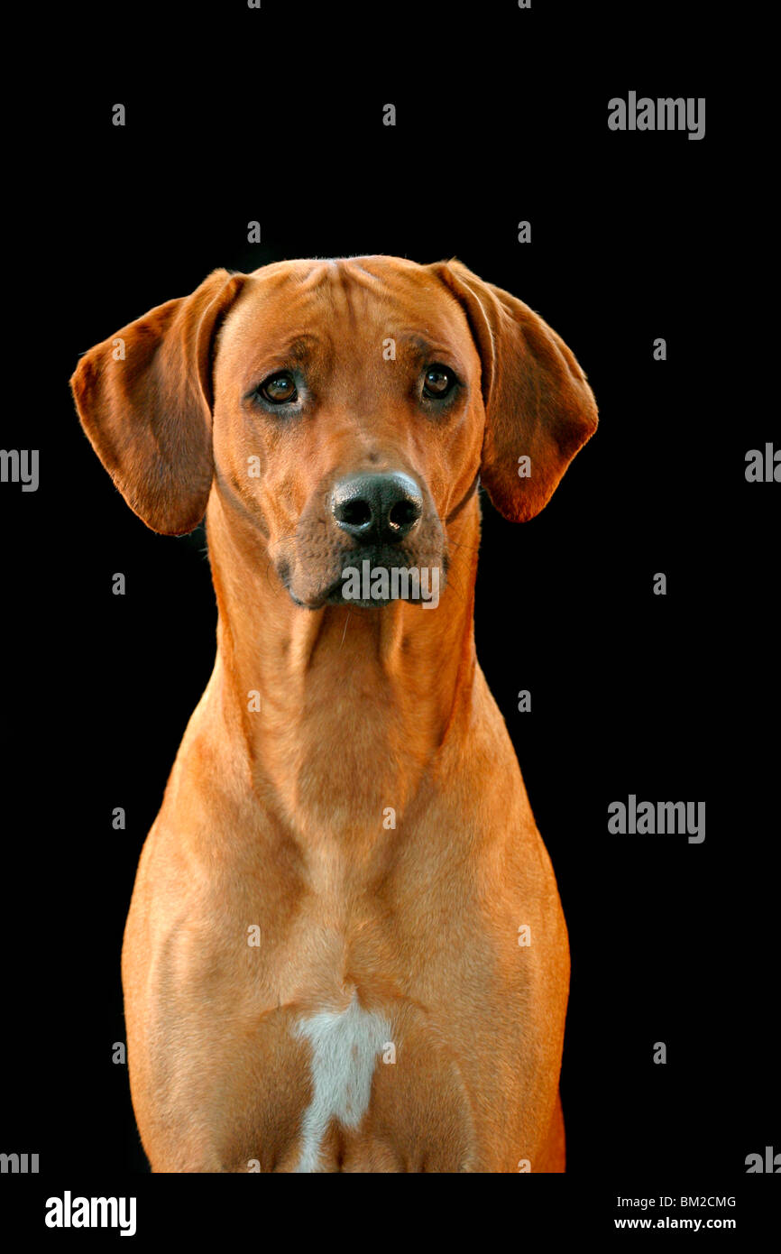 01969 hi-res stock photography and images - Alamy