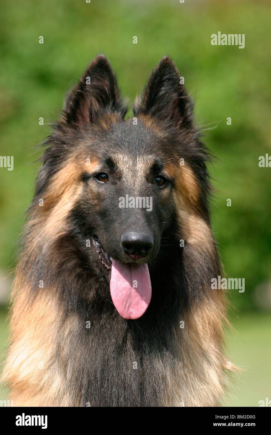 Rr 02017 hi-res stock photography and images - Alamy