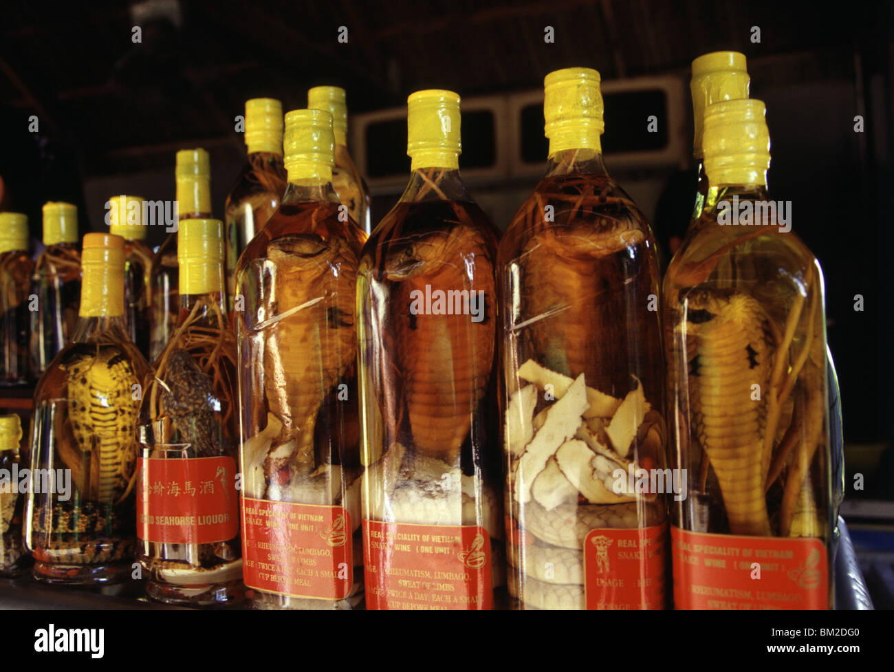 Vietnamese snake whisky bottle whisky hi-res stock photography and ...