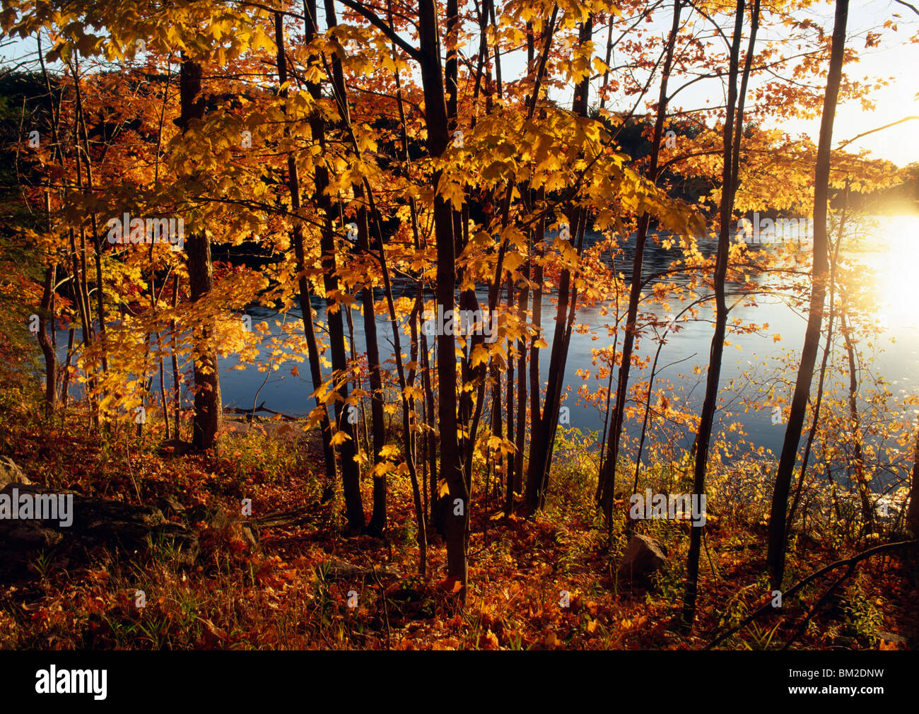 Wawayanda state park hi-res stock photography and images - Alamy