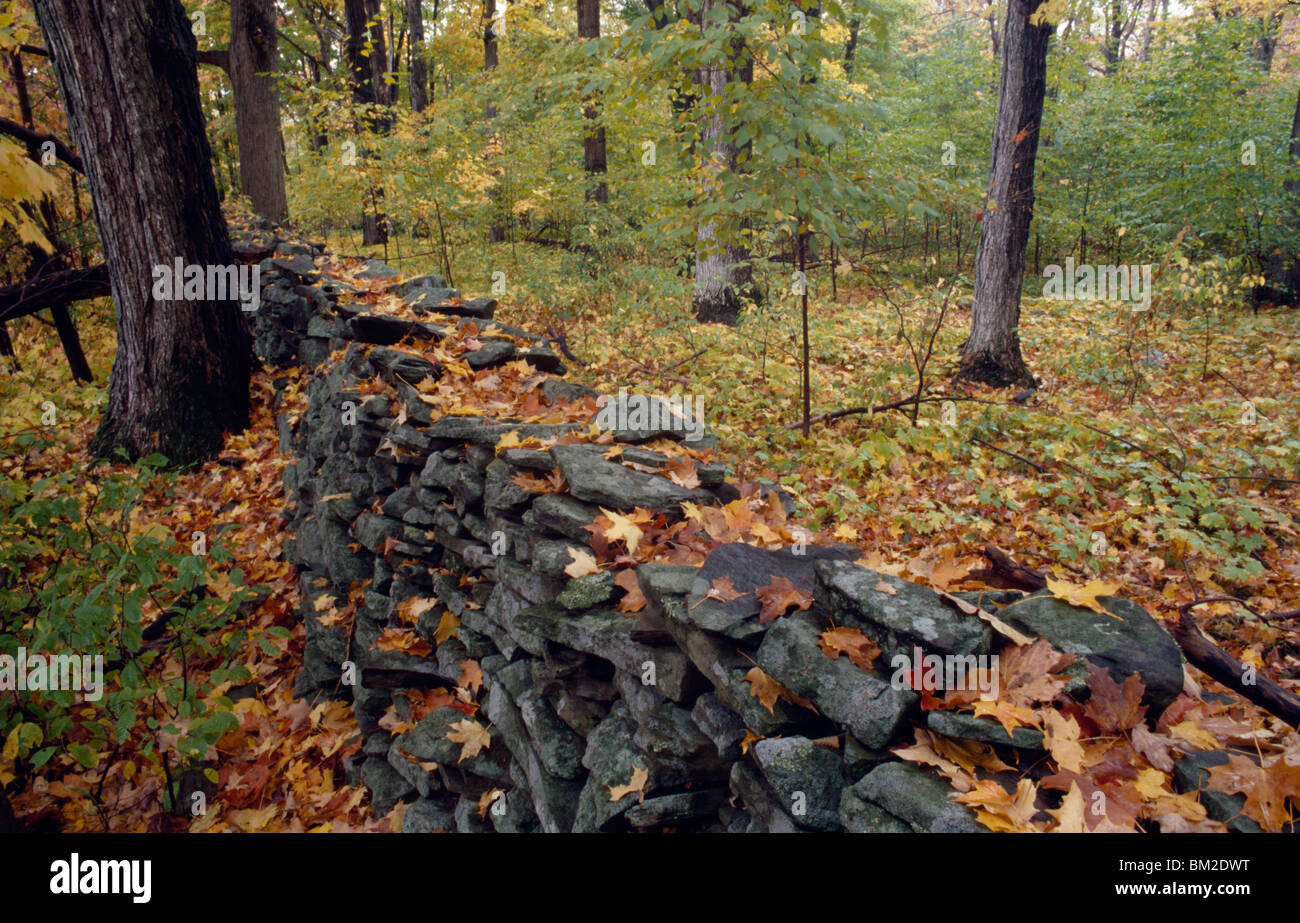 Fence of stones in a forest, Pocono Mountains, Pennsylvania, USA Stock ...