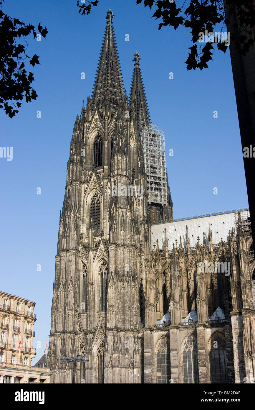 Cologne cathedral, Germany Stock Photo - Alamy