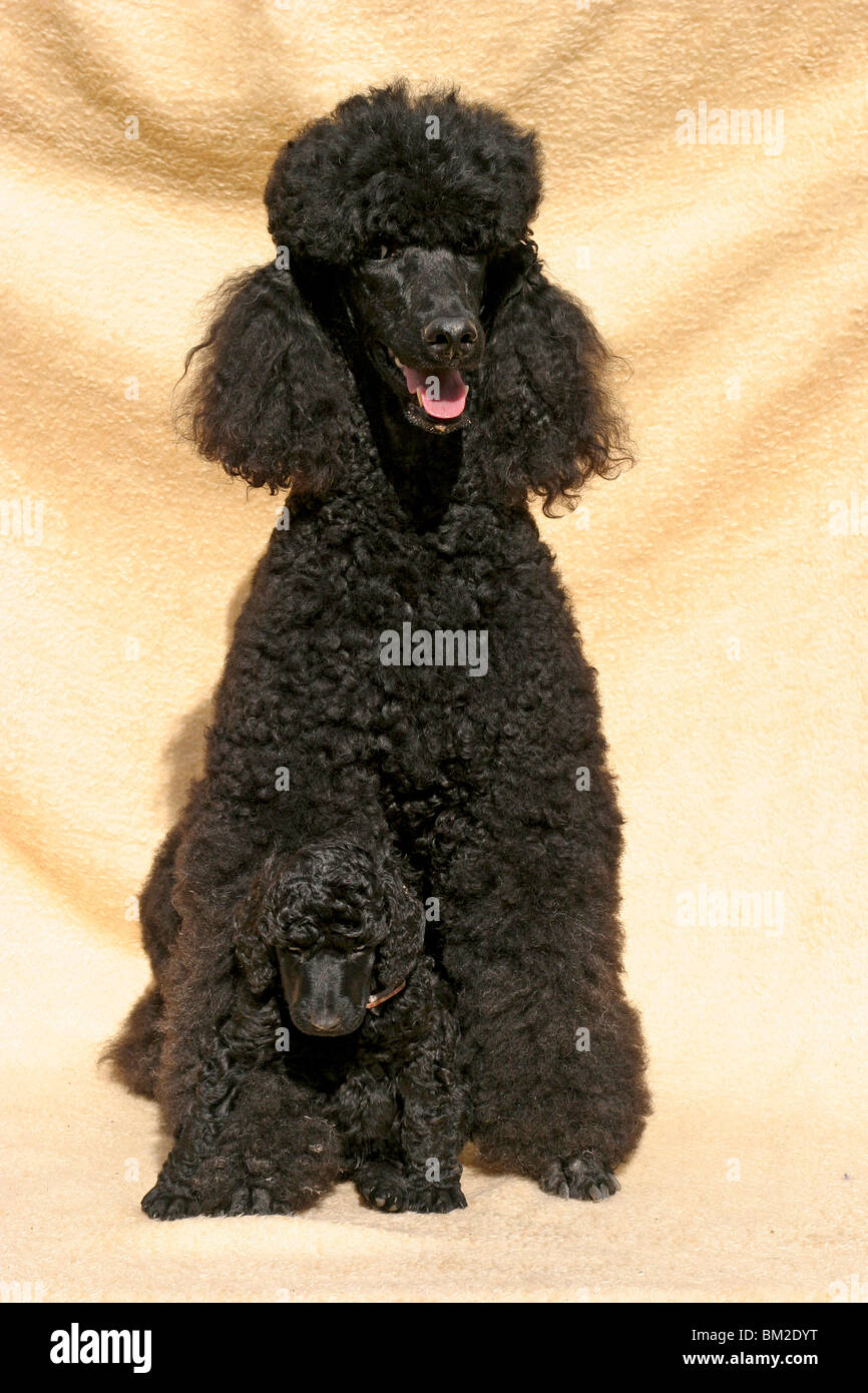 Rr 02286 hi-res stock photography and images - Alamy