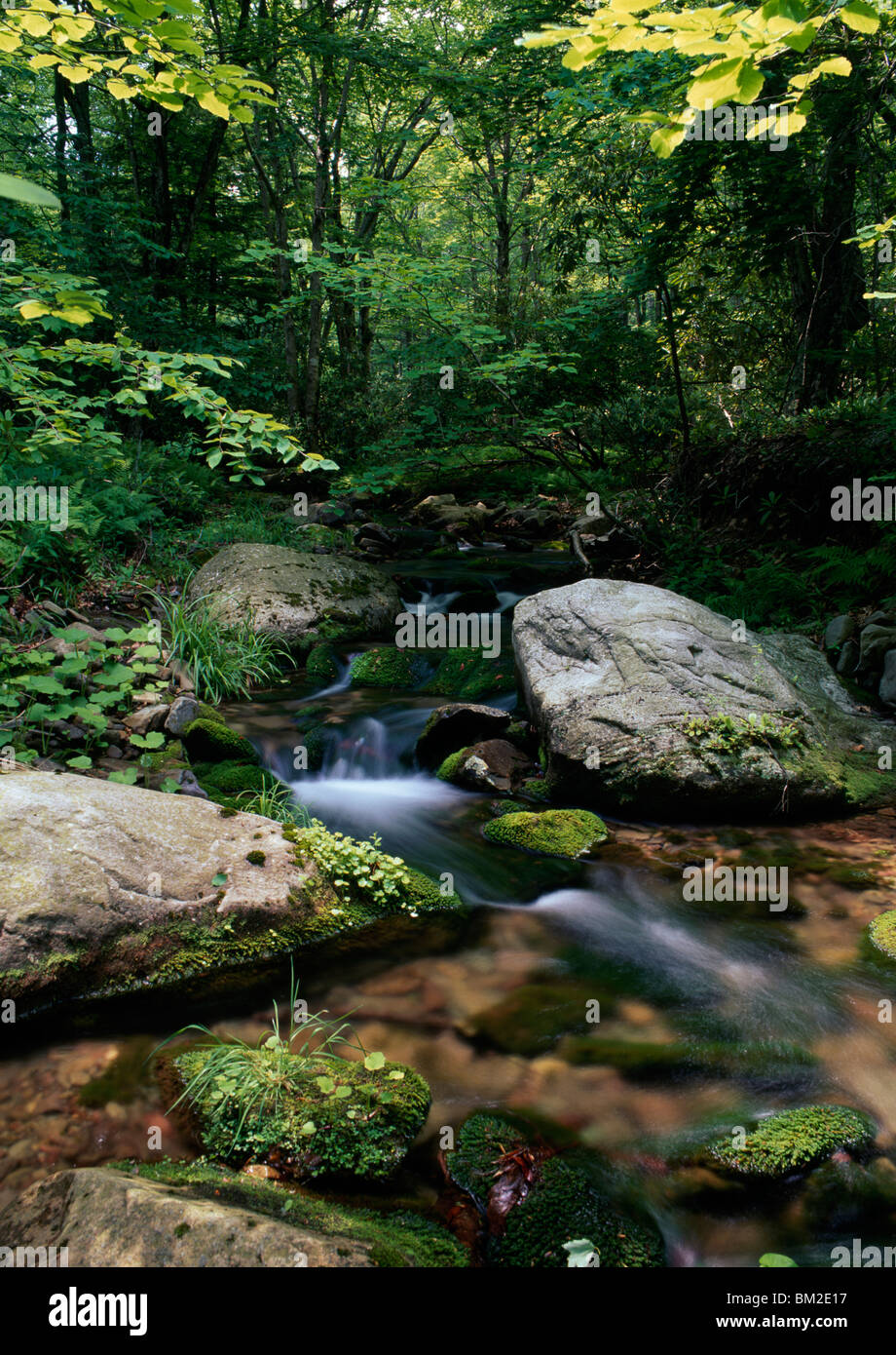 Pocono formation hi-res stock photography and images - Alamy