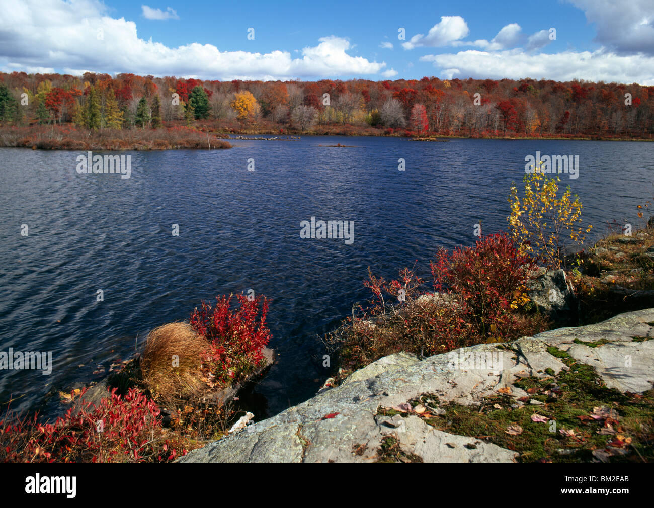 Pond side hi-res stock photography and images - Alamy