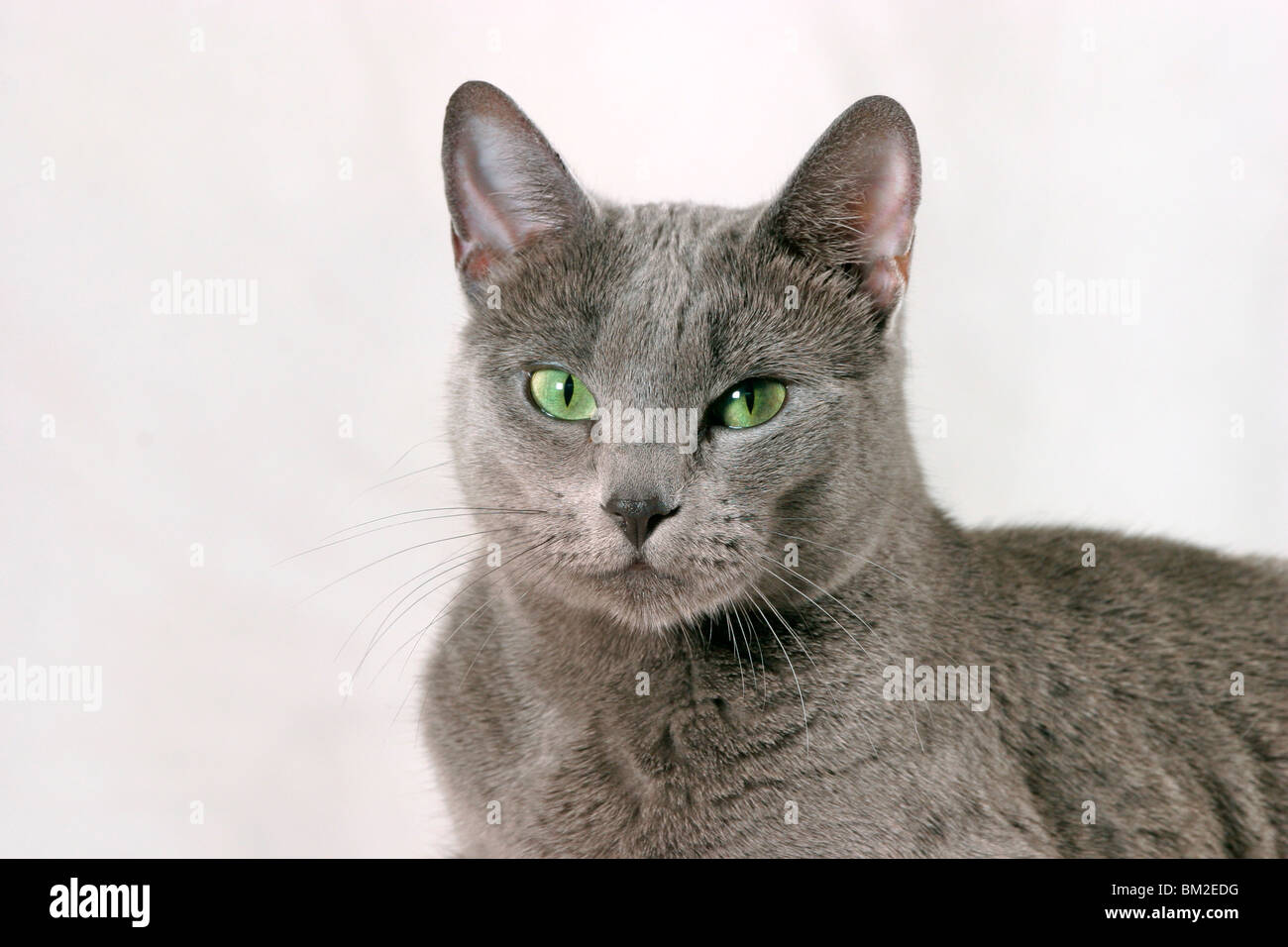 Rr 02459 hi-res stock photography and images - Alamy