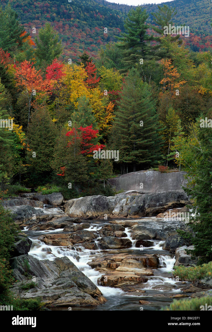 USA, New York, autumn trees with river and rocks Stock Photo - Alamy