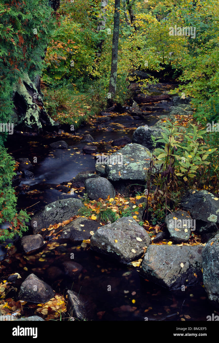 Creek flowing through a forest, Cascade Brook, New York State, USA ...