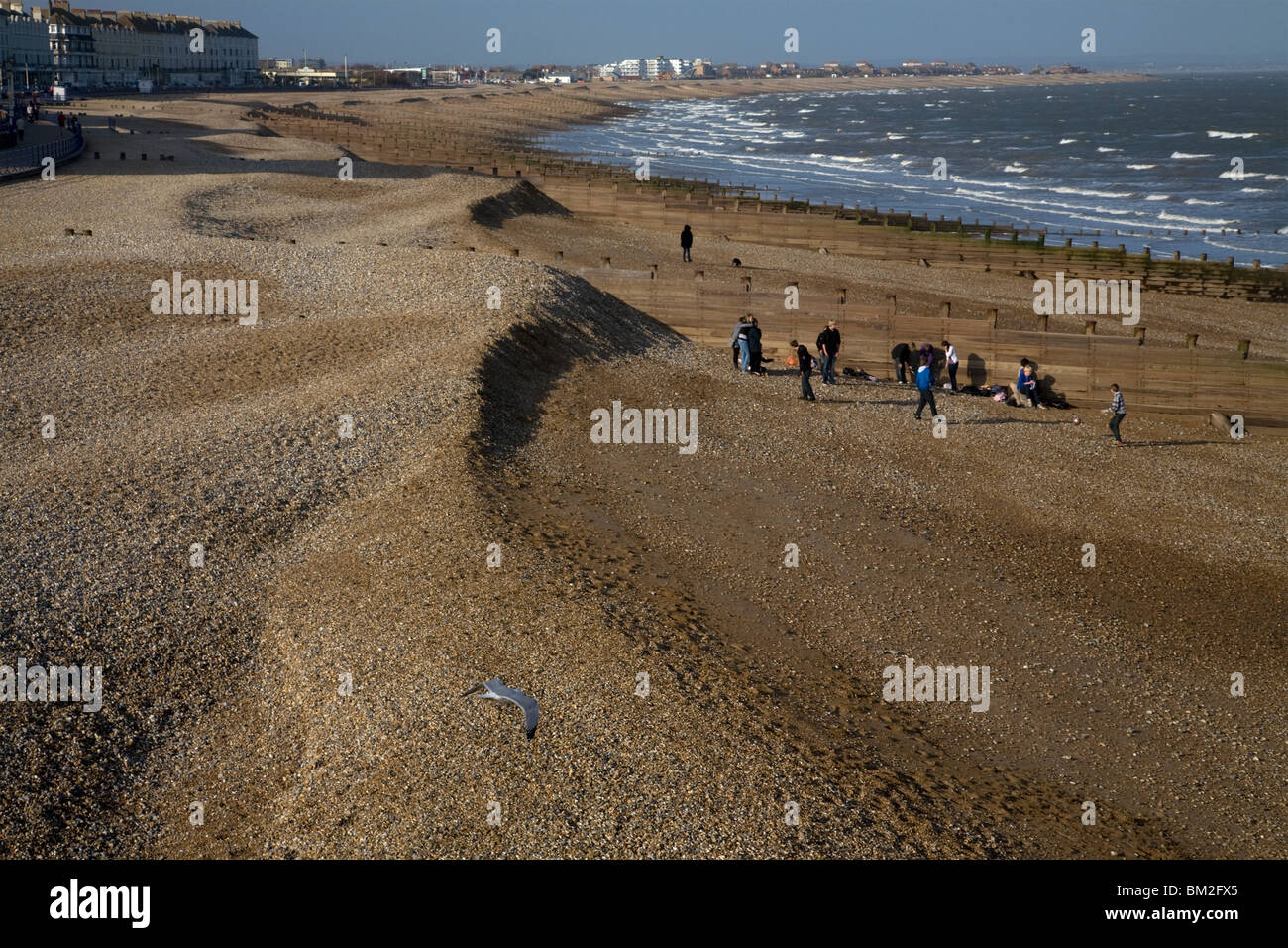 Eastbourne beach groynes hi-res stock photography and images - Alamy