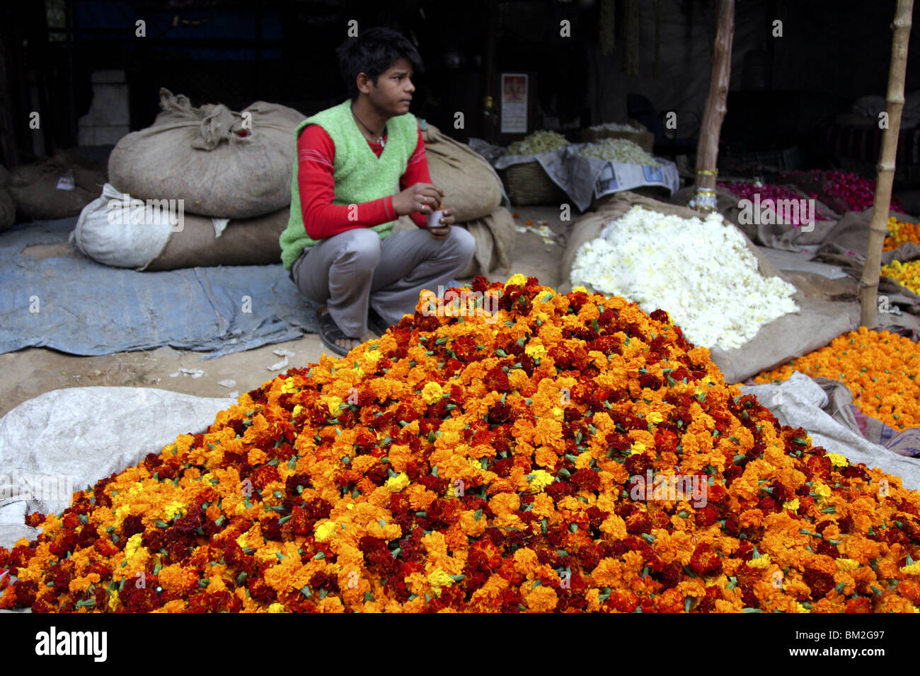 Flower vendor, Delhi, India Stock Photo - Alamy