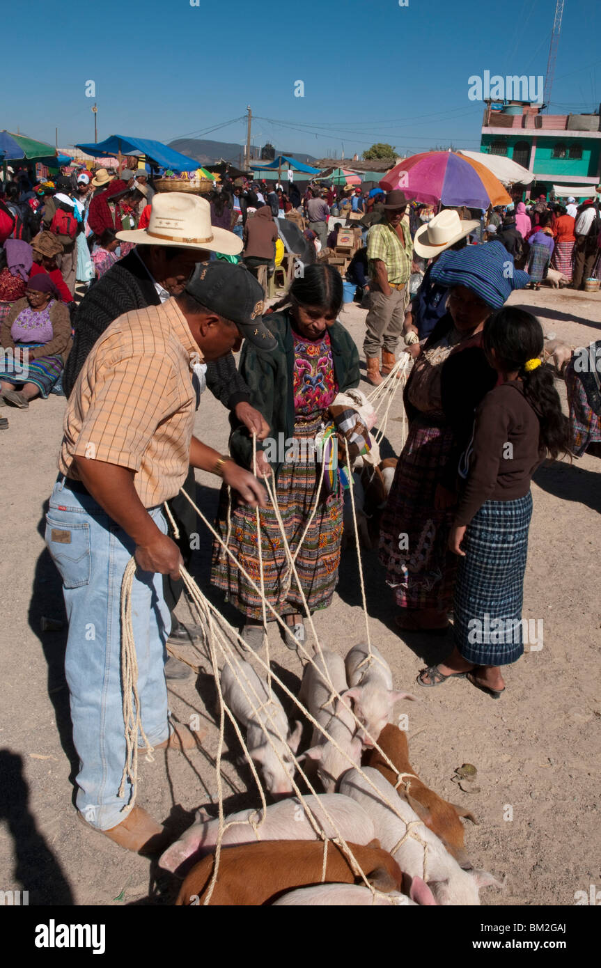 Animal market at San Francisco El Alto, Guatemala Stock Photo - Alamy