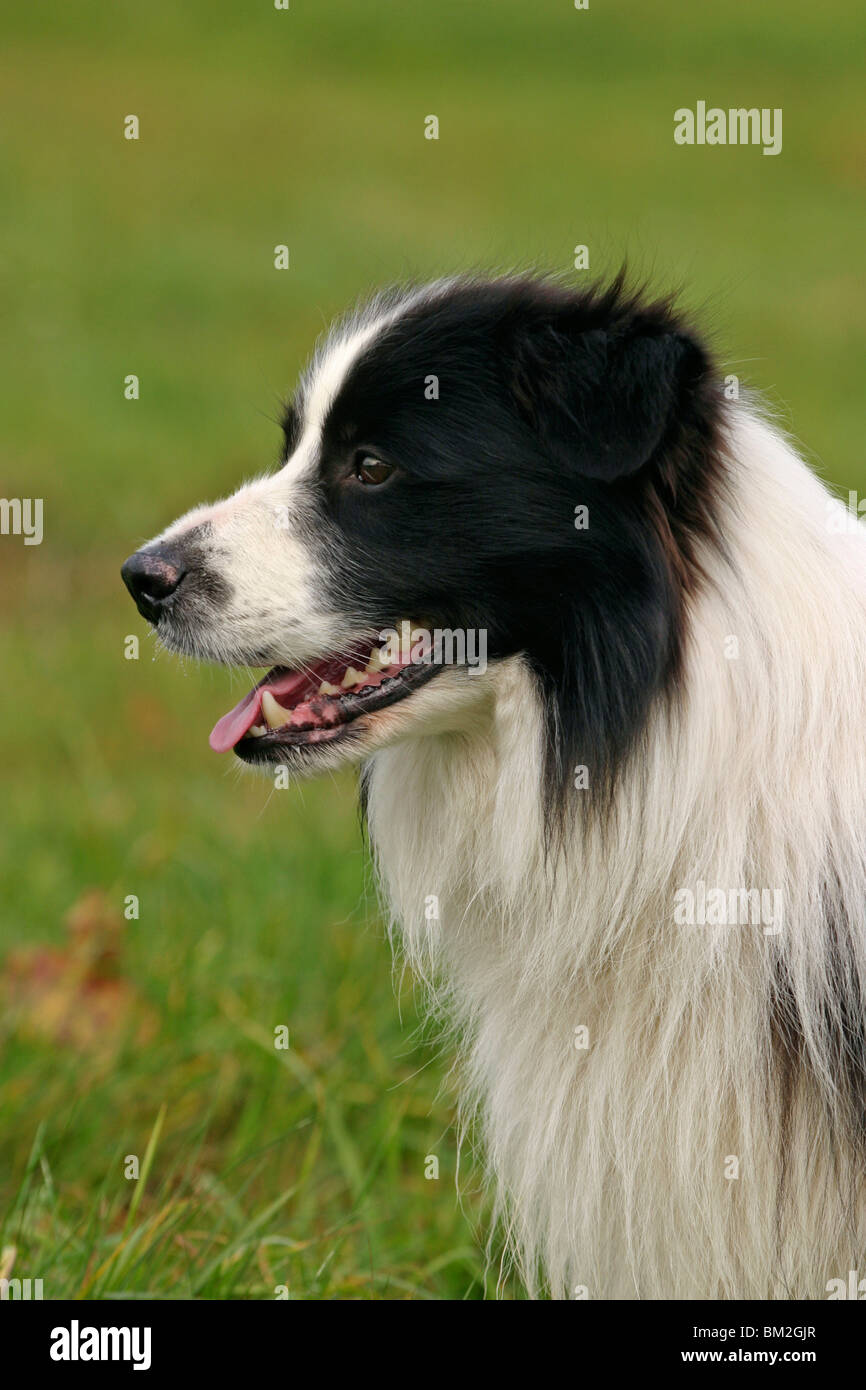 Contact Us – Advantedge | Full Spectrum Procurement and Trading ...