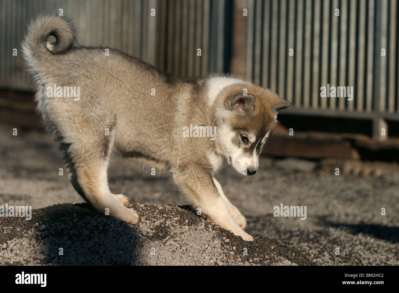 Rr 03460 hi-res stock photography and images - Alamy