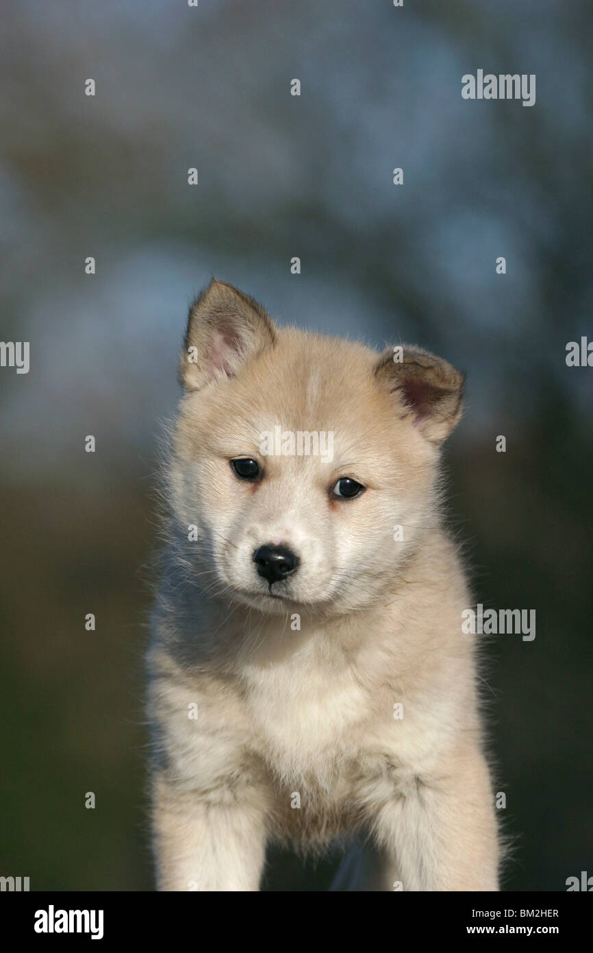 Rr 03452 hi-res stock photography and images - Alamy