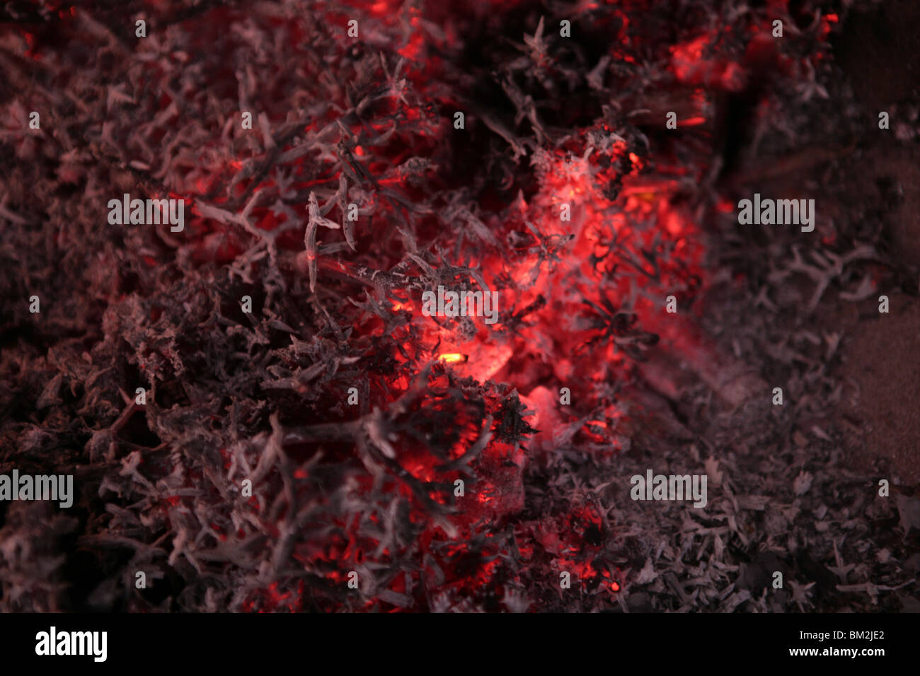 Embers texture, wood in fire texture Stock Photo - Alamy