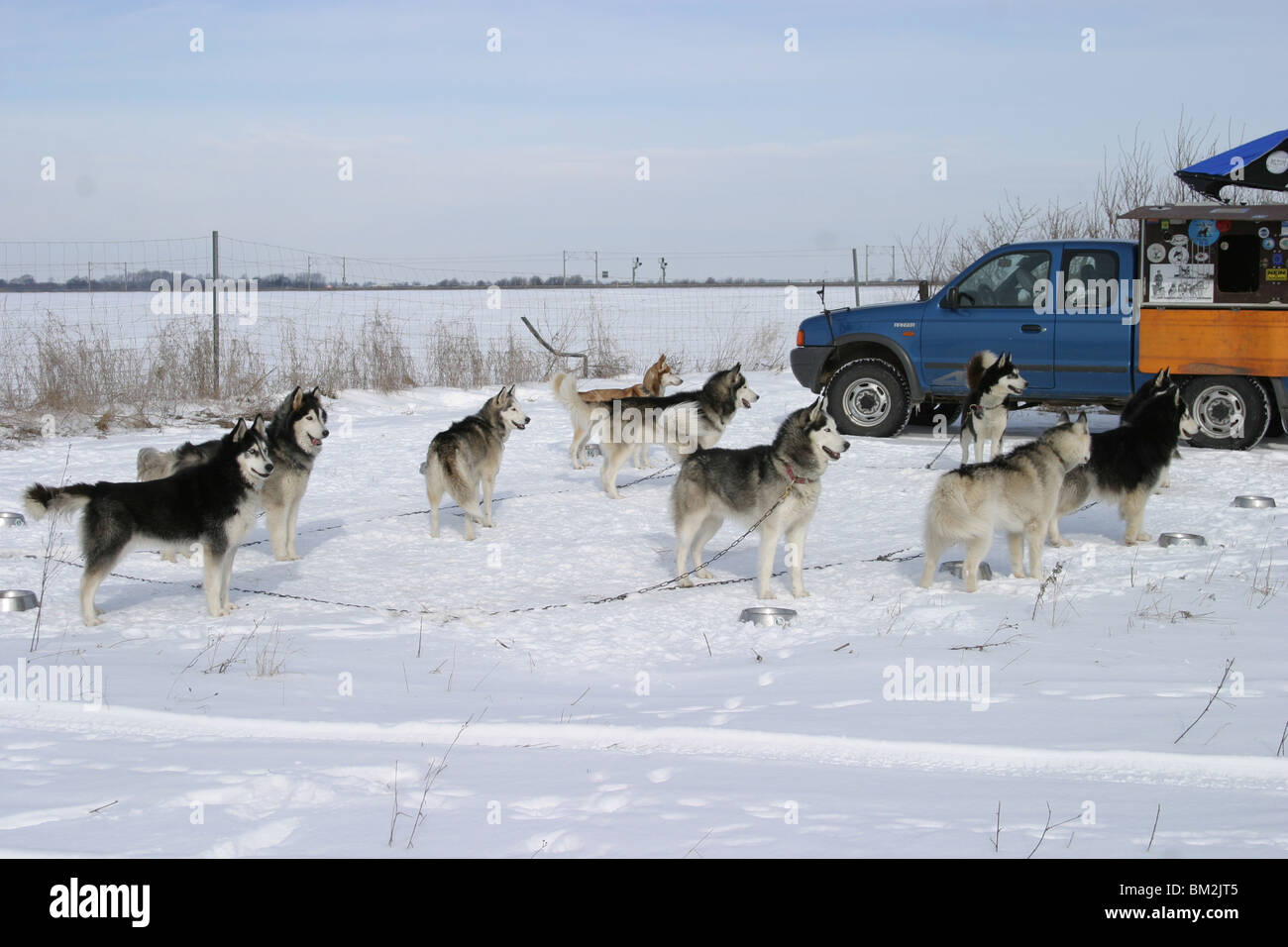 Stake group hi-res stock photography and images - Alamy