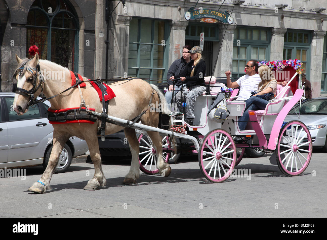 Montreal caleche hi-res stock photography and images - Alamy