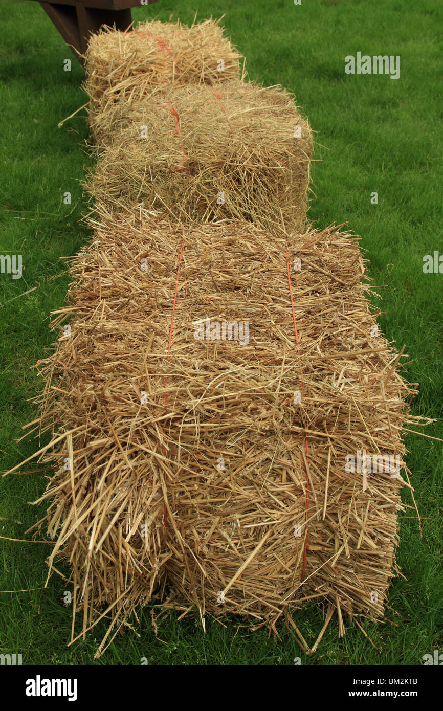 Row of hay hi-res stock photography and images - Alamy