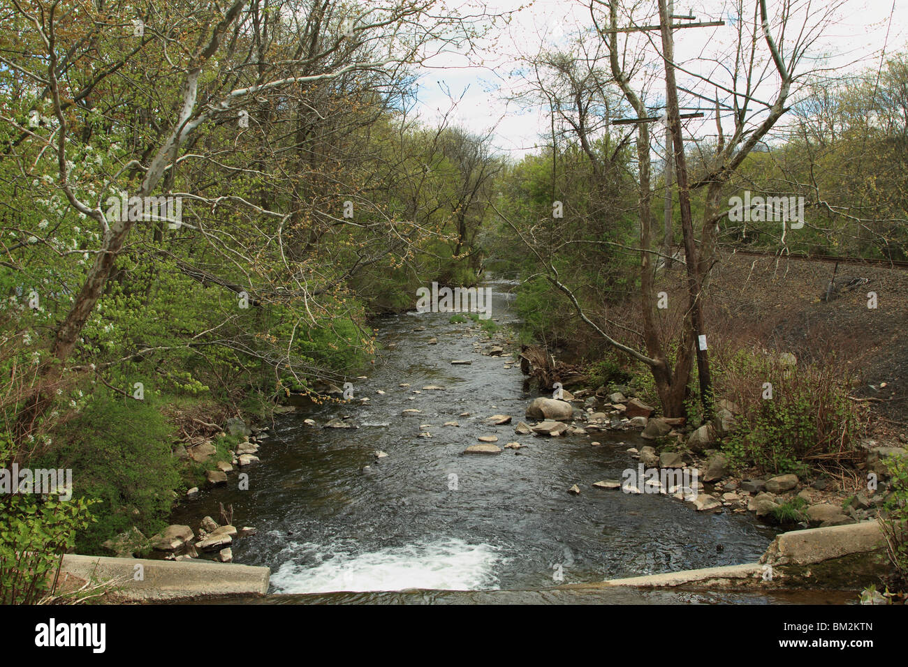 Trees next to a waterway hi-res stock photography and images - Alamy