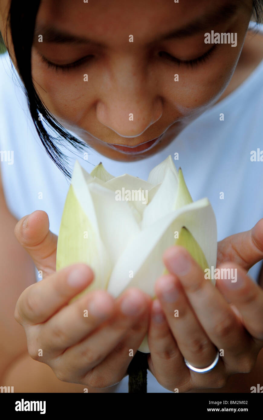 Vietnam lotus flower woman hi-res stock photography and images - Alamy