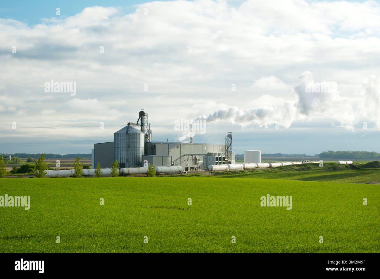 Ethanol production plant utilizing corn as a feed stock located in the ...