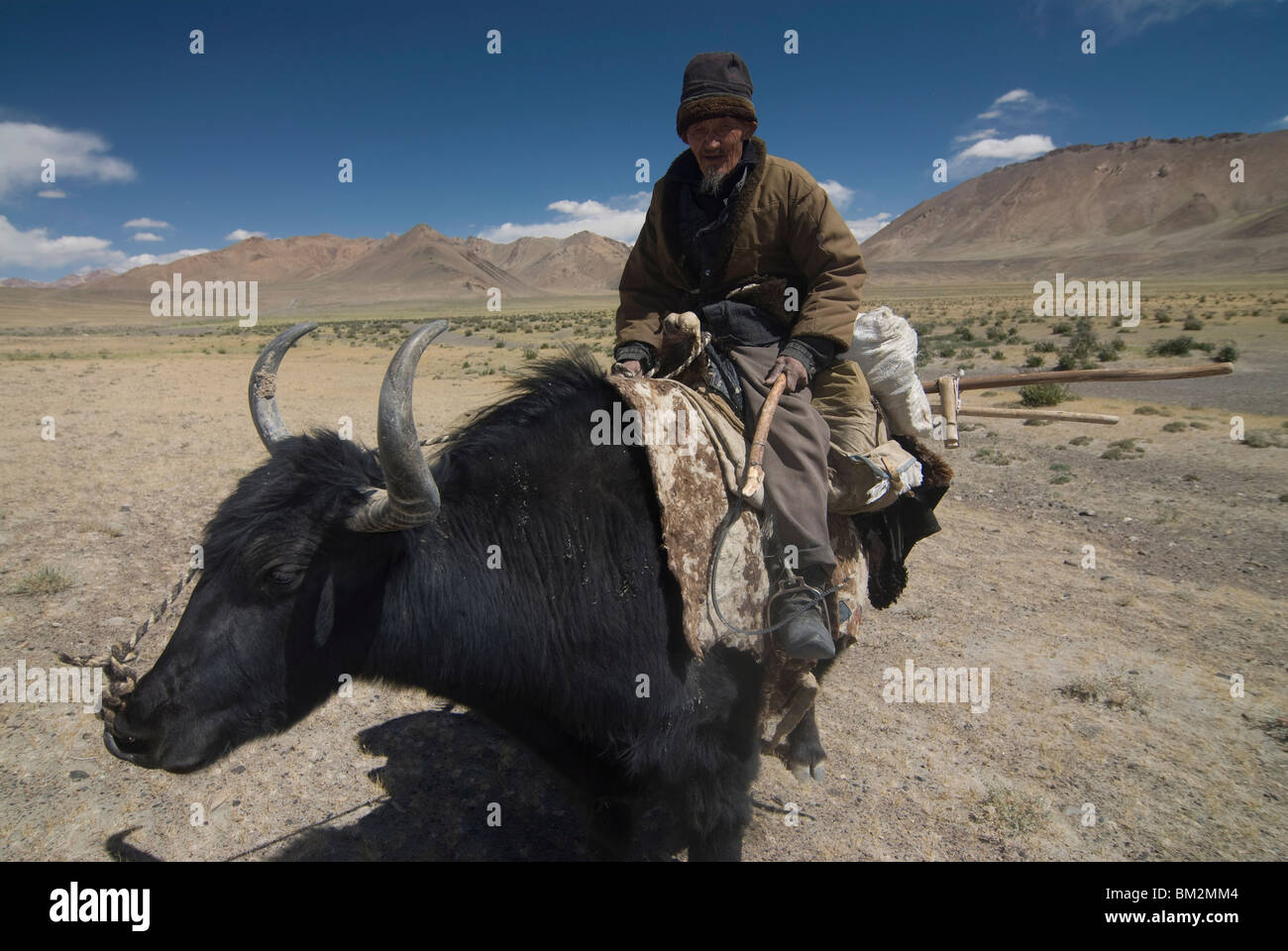 Man riding a yak, Pamir Highway, Tajikistan Stock Photo - Alamy