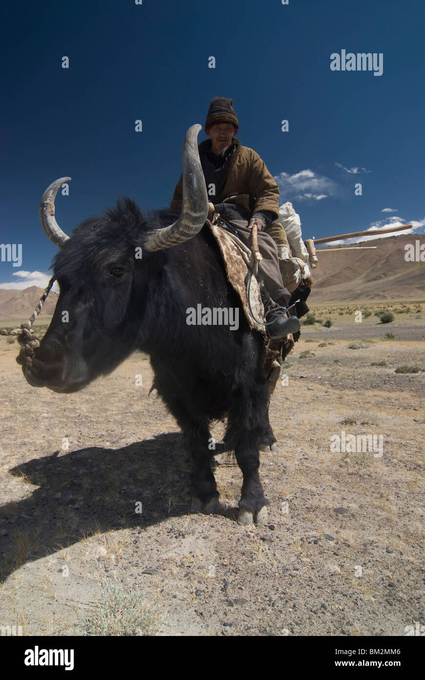 Yak riding hi-res stock photography and images - Alamy