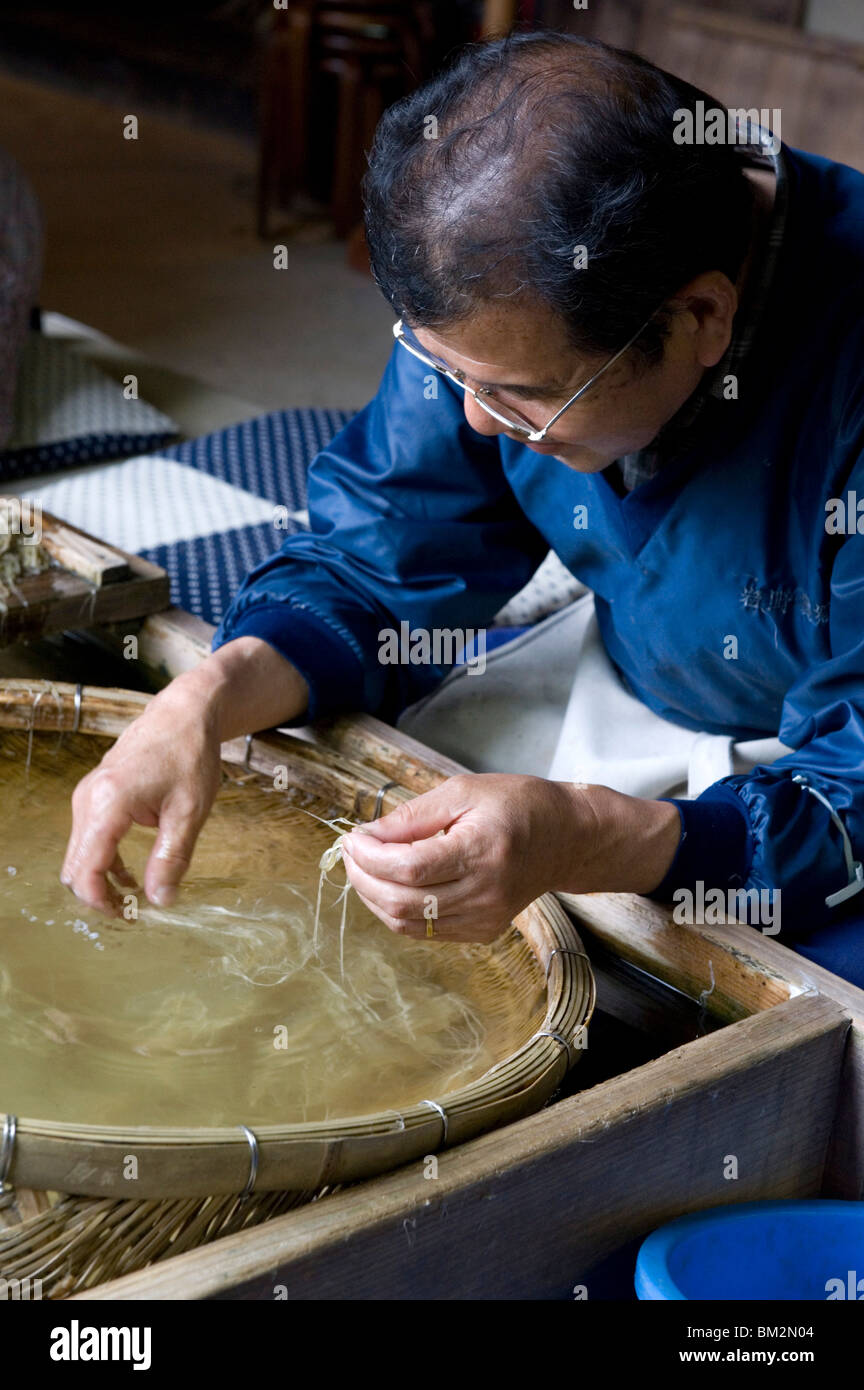 Separating mulberry fibers for making Japanese washi paper at the ...