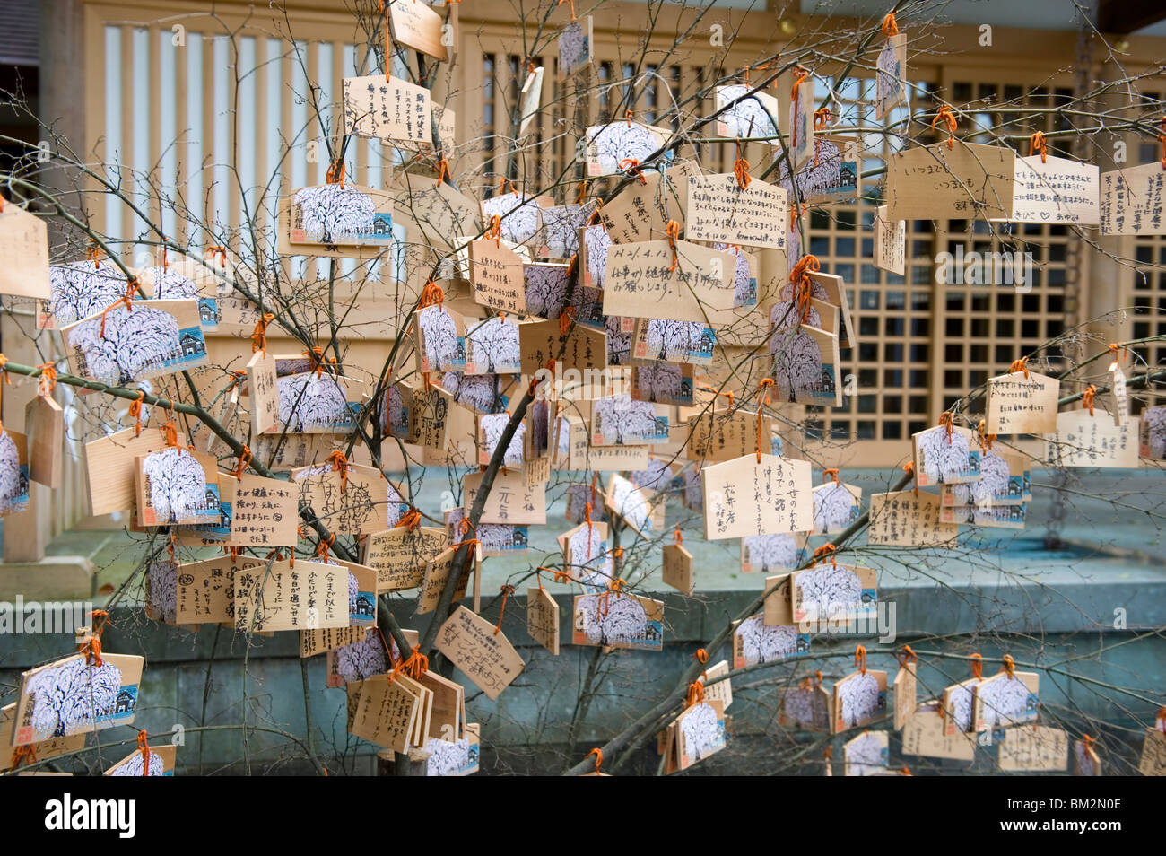 Wooden tablets called ema with messages to god hanging on a tree at a ...