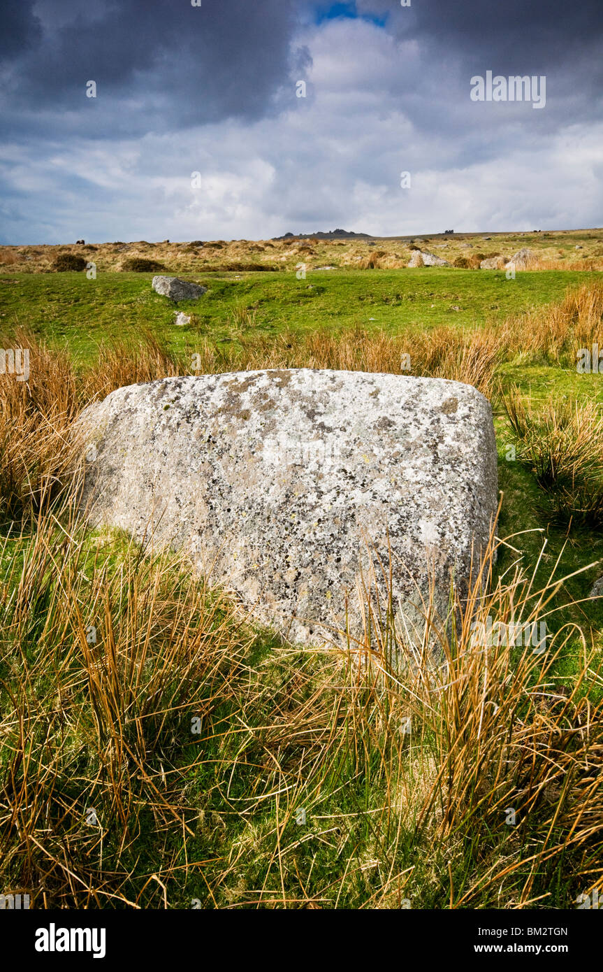 Dartmoor national park devon landscape hi-res stock photography and ...