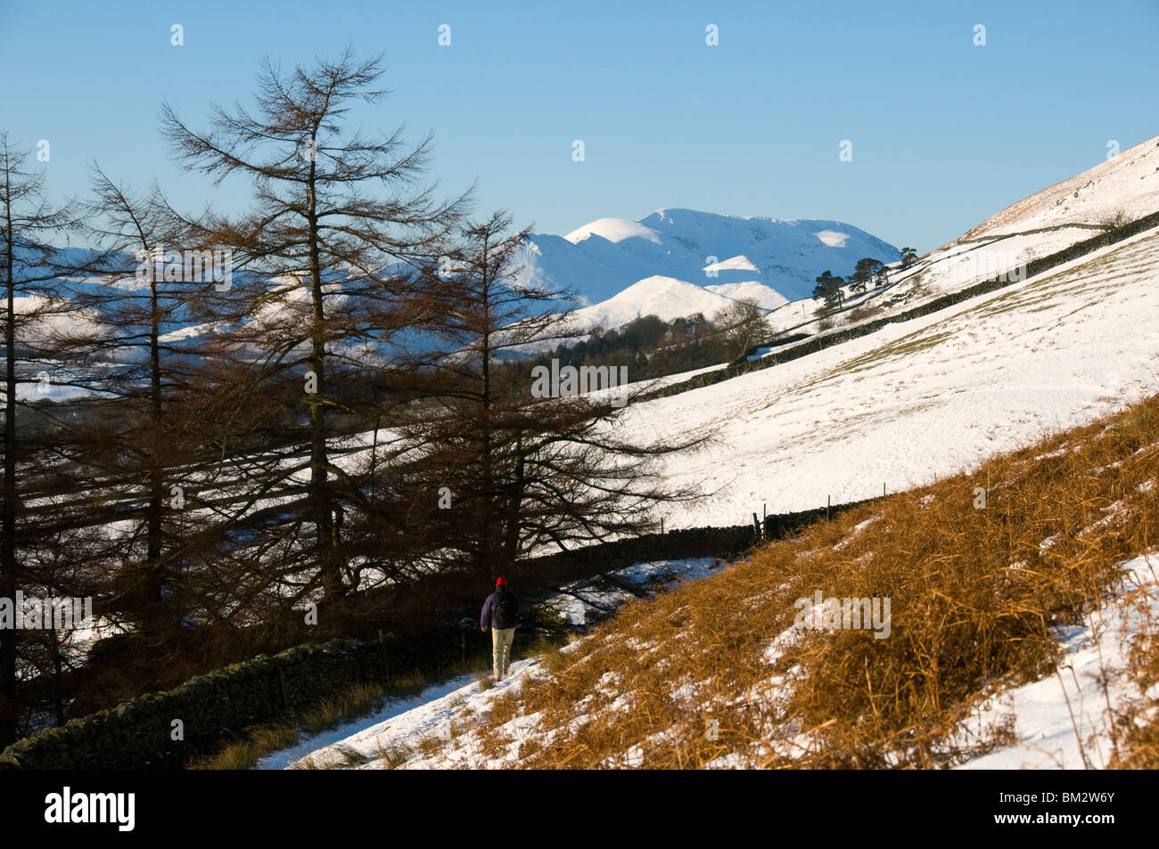 The Derwent Fells in winter from the lower slopes of Blencathra in the ...