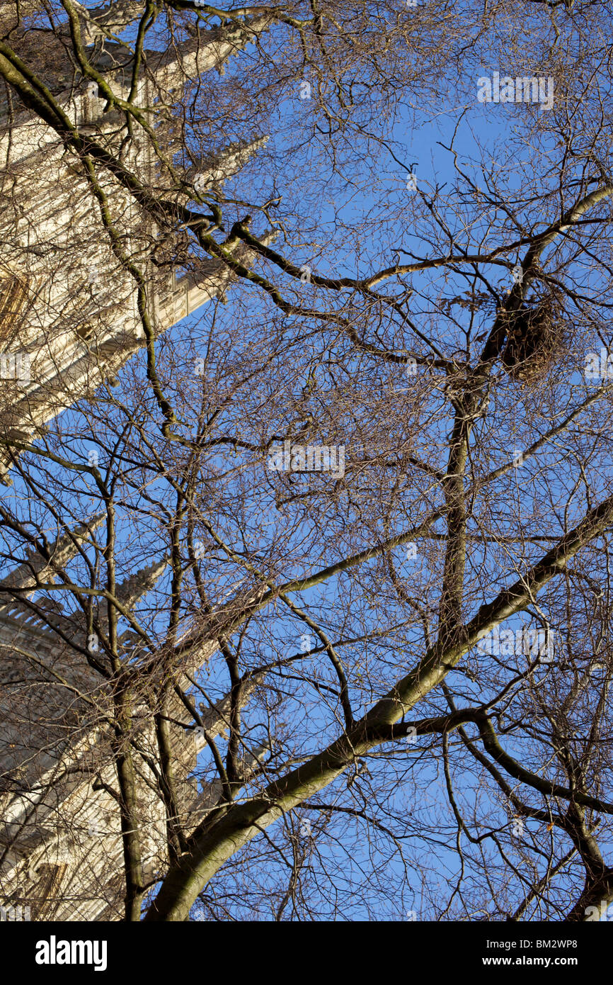 York Minster from Precentor's Court Stock Photo - Alamy