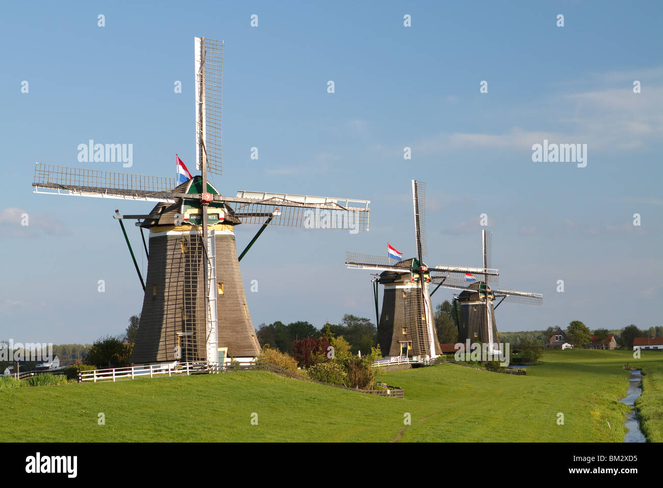 Traditional windmills on the country side of Holland Stock Photo - Alamy