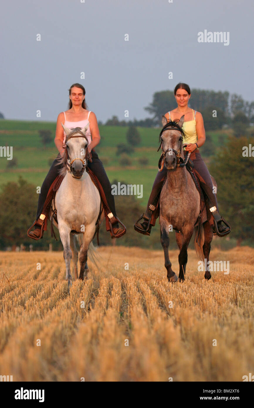 Pferd und Reiter / horse and horsewoman Stock Photo - Alamy