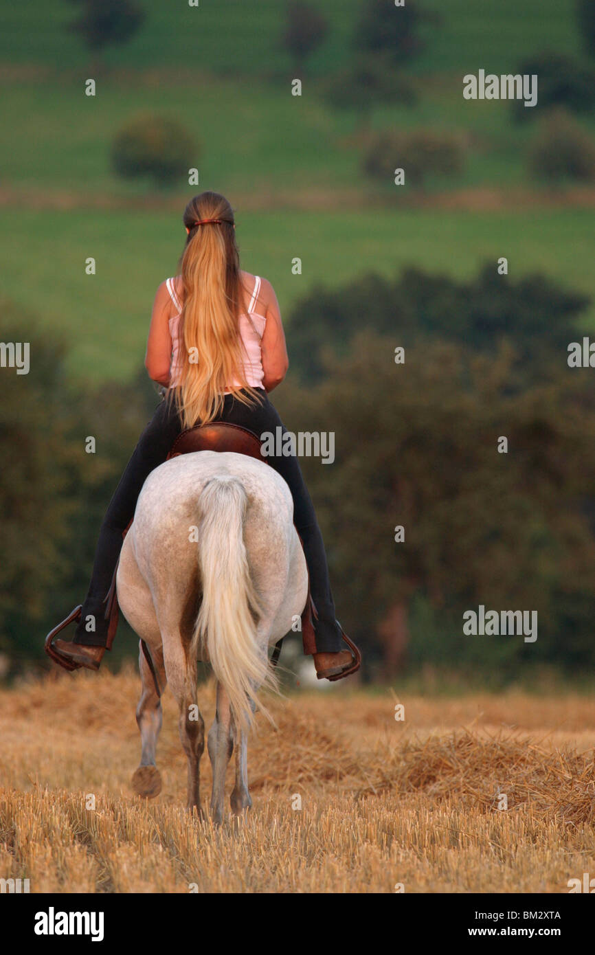 Pferd und Reiter / horse and horsewoman Stock Photo - Alamy