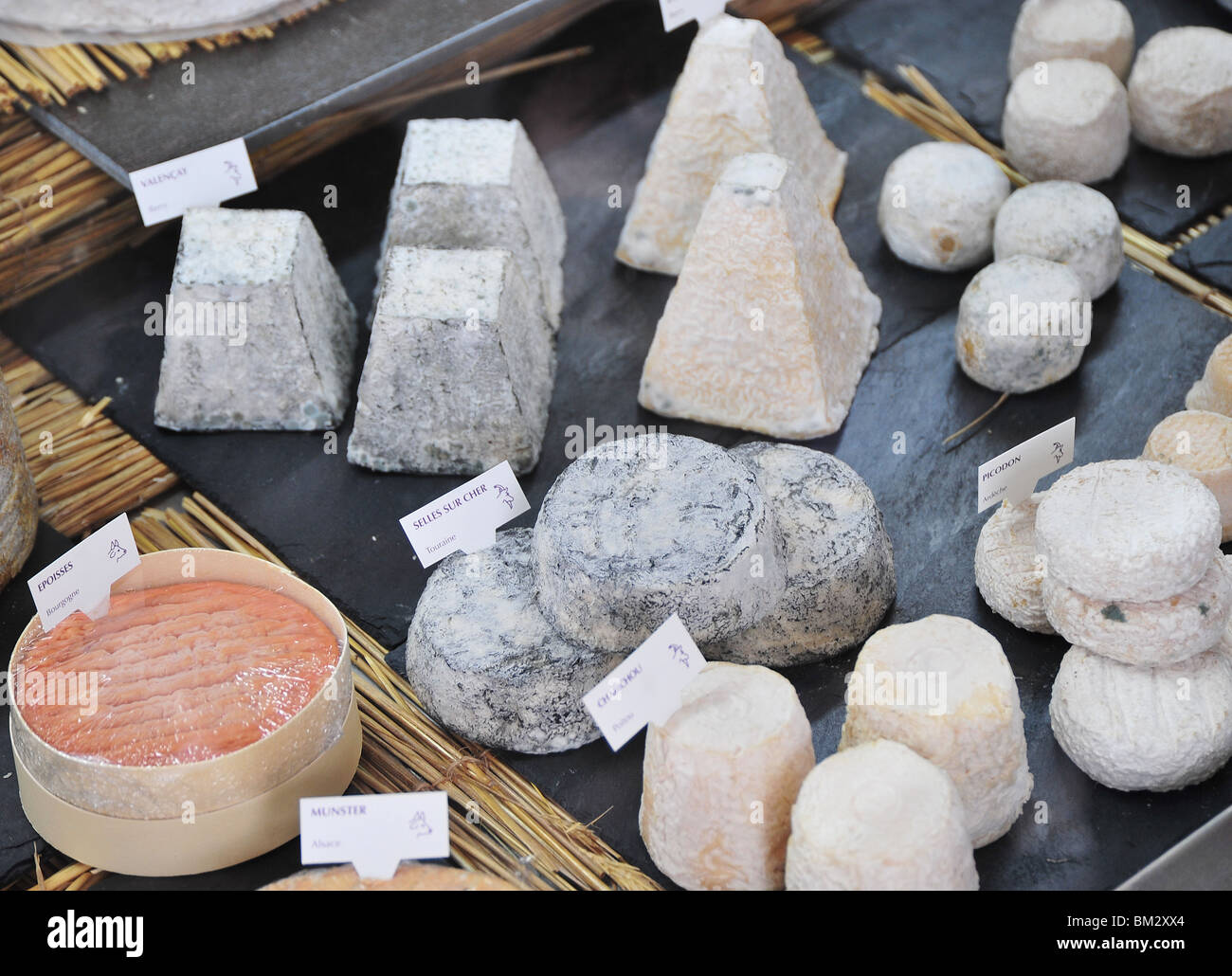 Assortment Goat Cheese on display at Fromagerie, Paris, France Stock ...