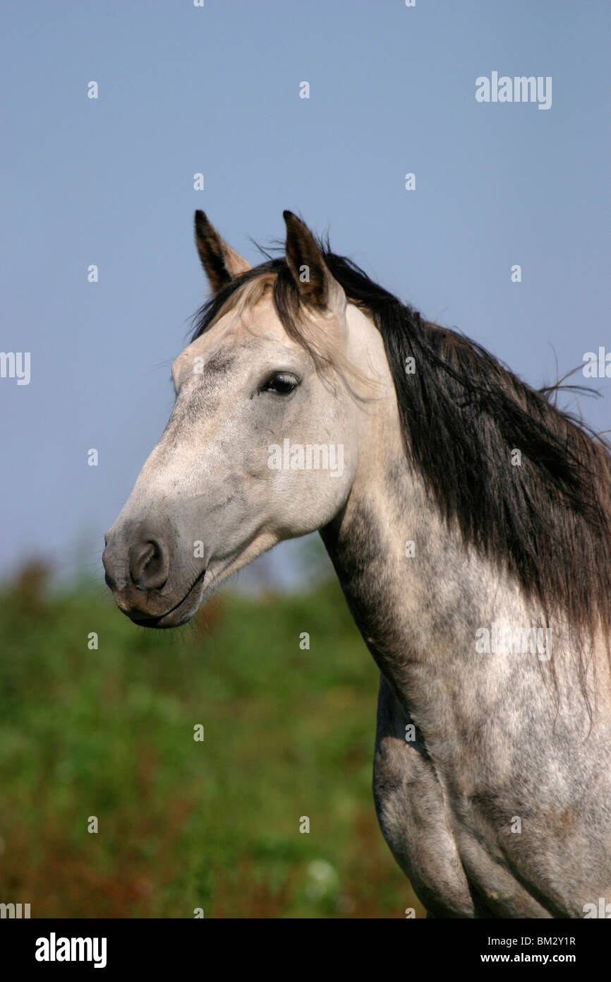 06082 hi-res stock photography and images - Alamy