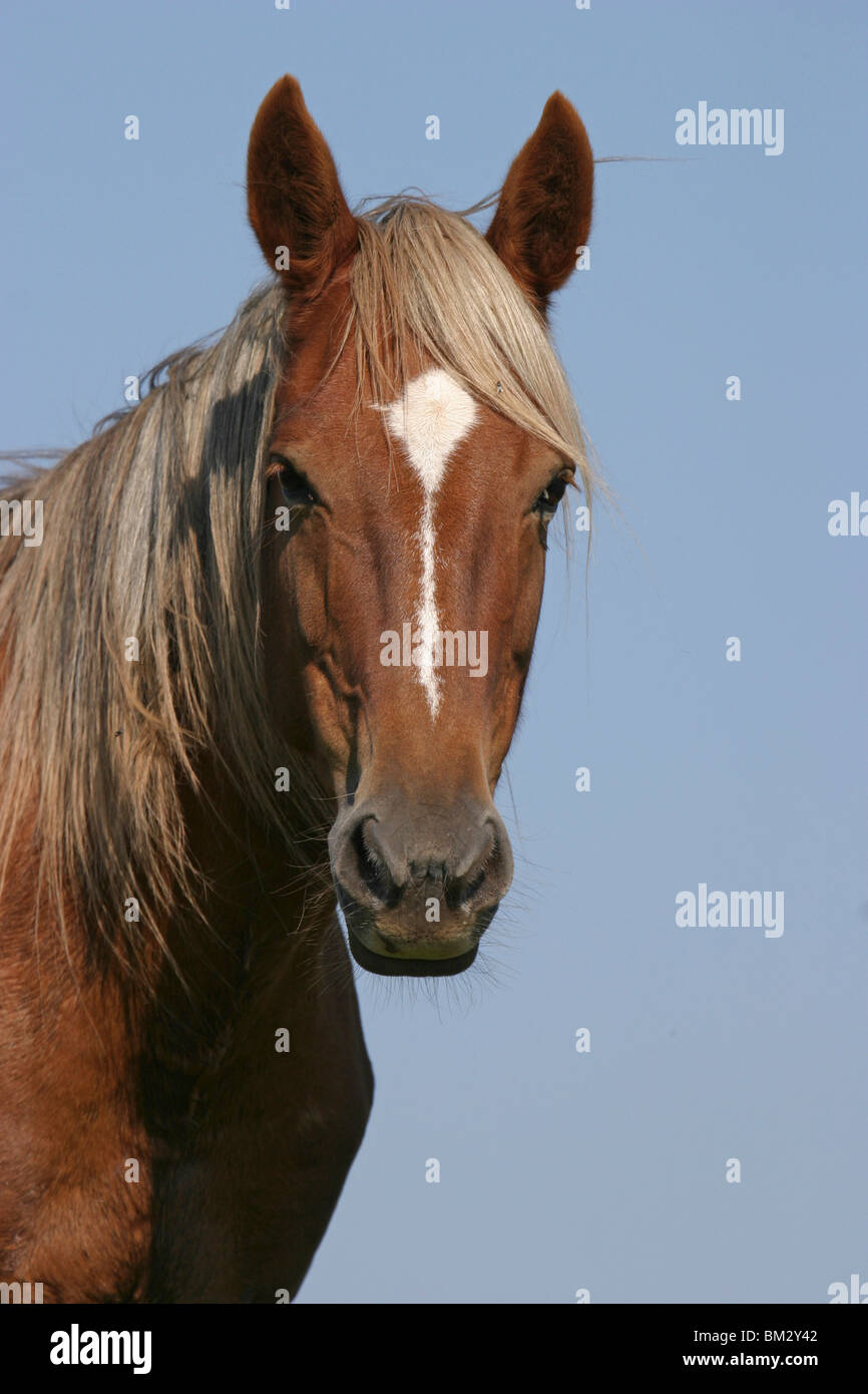 Weibliches hi-res stock photography and images - Alamy