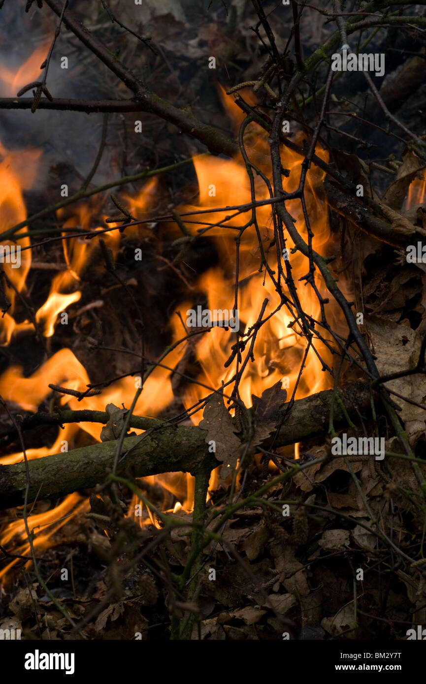 Garden bonfire leaves hi-res stock photography and images - Alamy