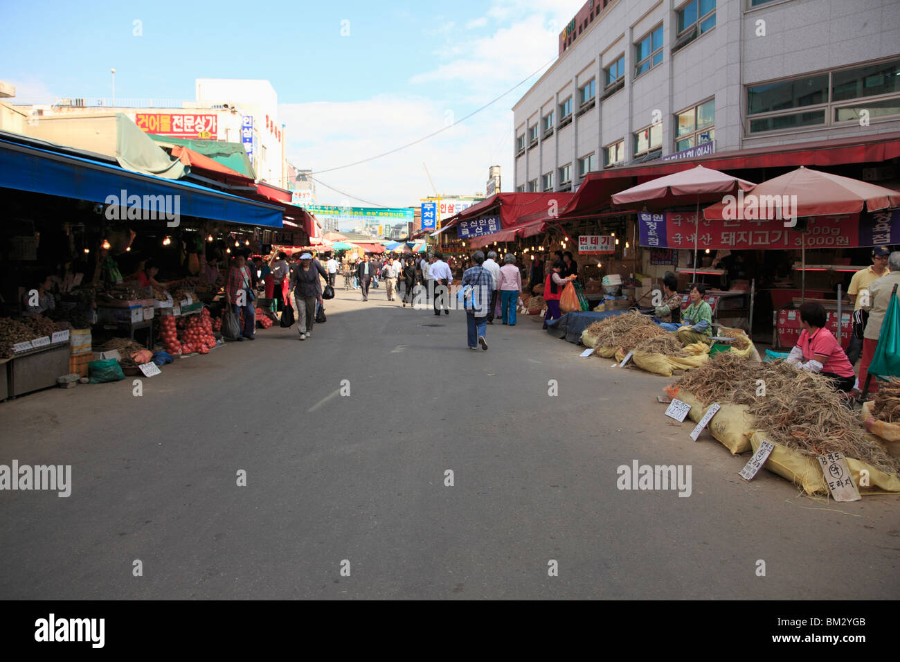 Gyeongdong Market, Largest Asian Medicine Market in Korea, Seoul, South ...