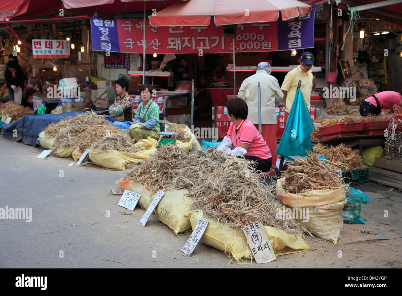 Ginseng, Gyeongdong Market, Largest Asian Medicine Market in Korea ...