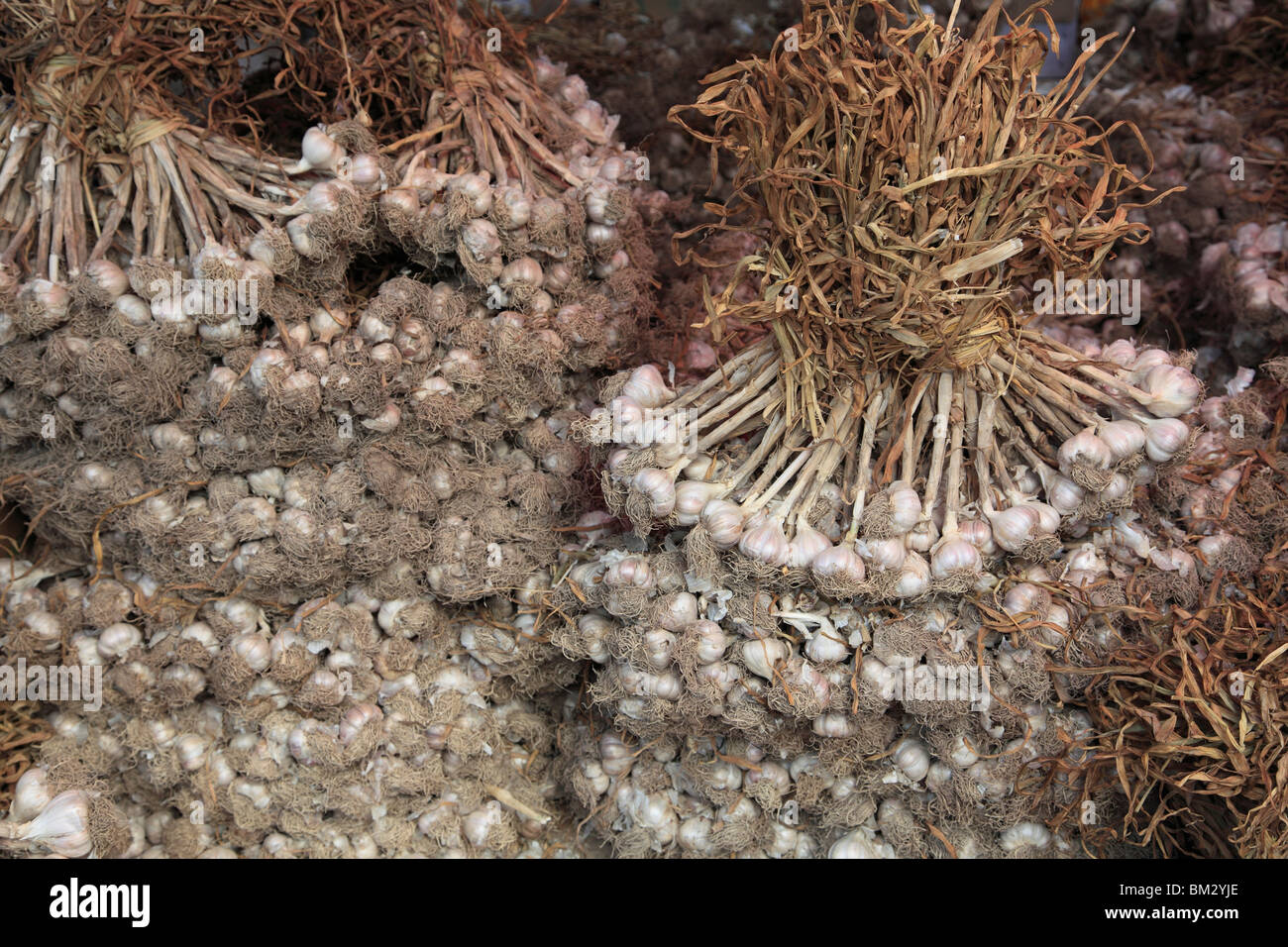 Garlic, Gyeongdong Market, Largest Asian Medicine Market in Korea ...