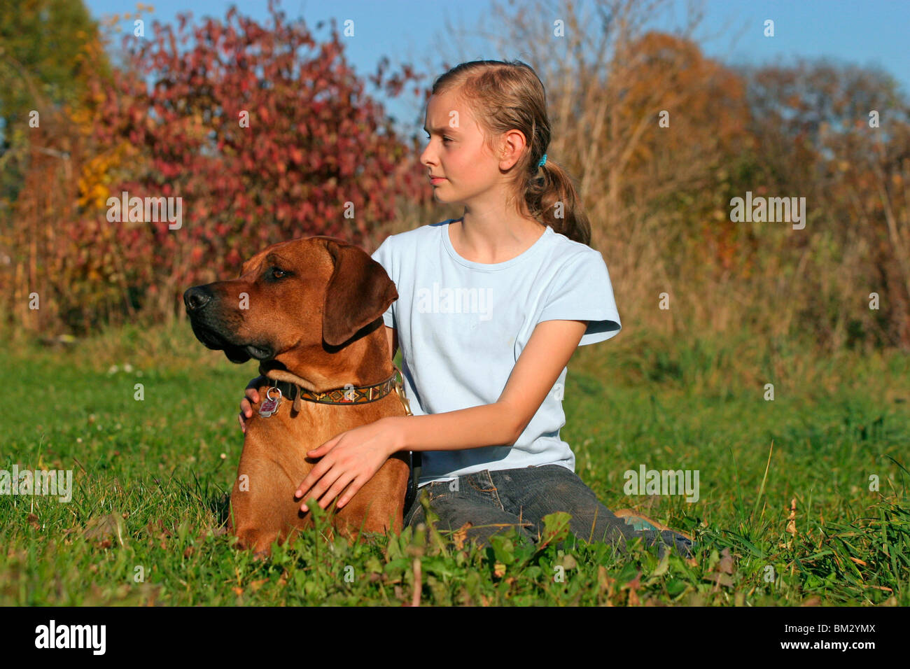 Mädchen mit Rhodesian Ridgeback / girl with RR Stock Photo - Alamy
