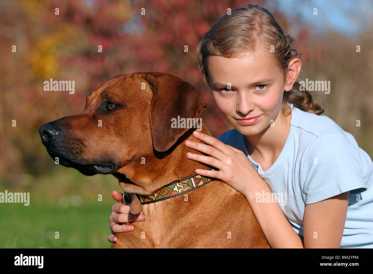 Mädchen mit Rhodesian Ridgeback / girl with RR Stock Photo - Alamy
