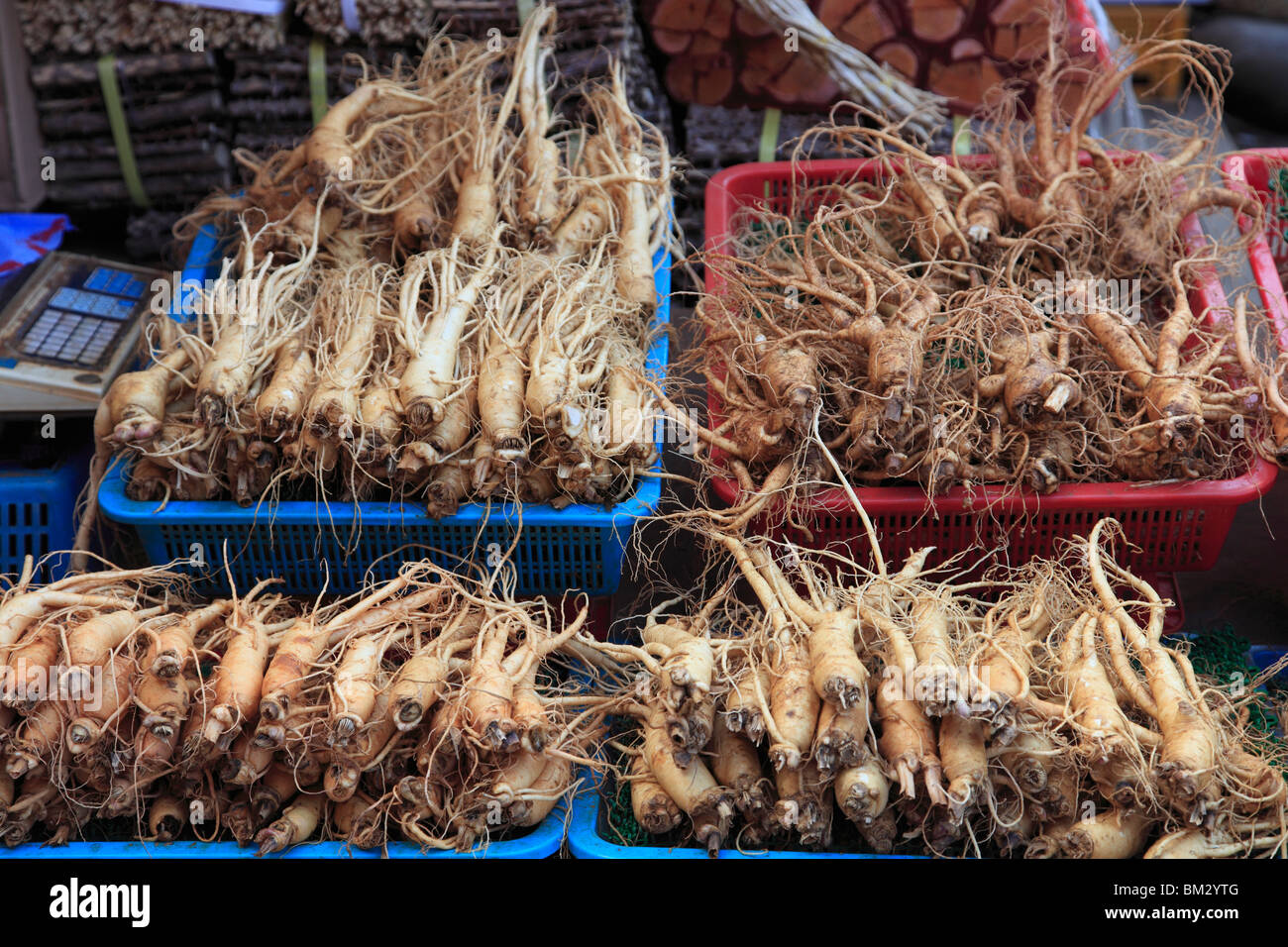 Gyeongdong market hi-res stock photography and images - Alamy