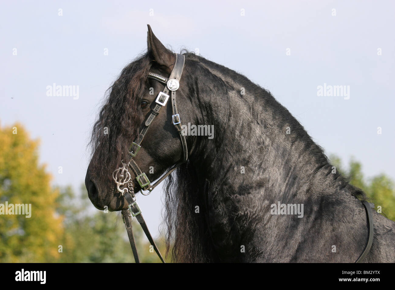 06407 High Resolution Stock Photography and Images - Alamy
